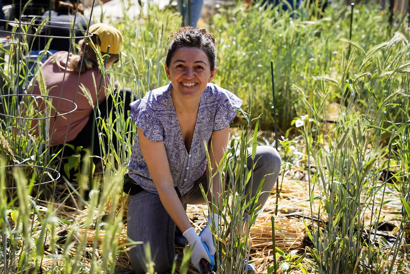 YES Communities > About > About YES